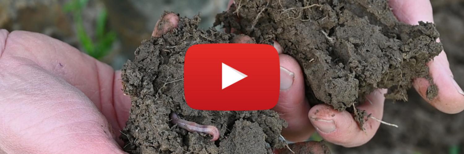 Bio@Inagro deel 6: vooruitkijken naar de oogst | ccbt